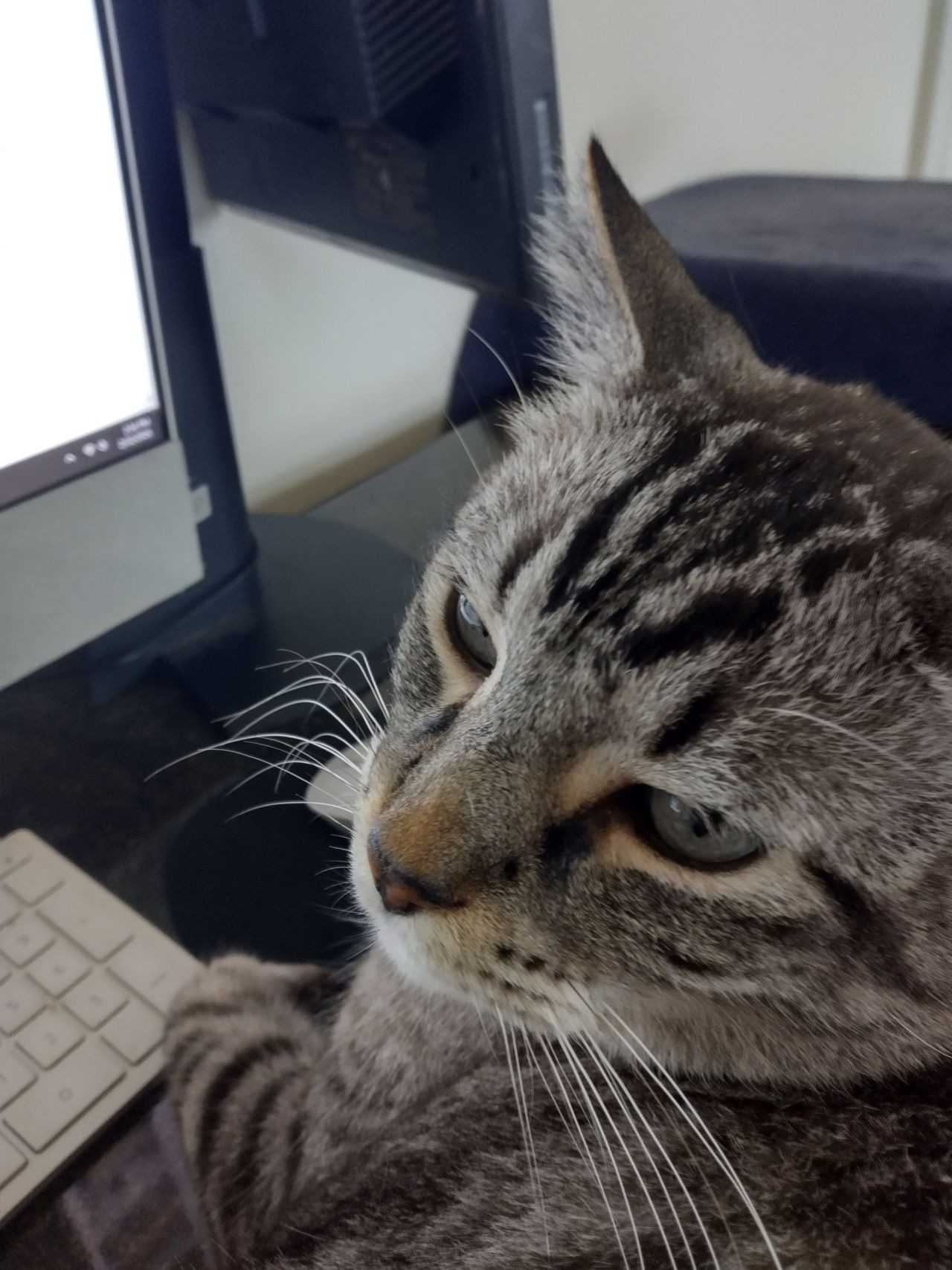 helping-me-type – un-Denial